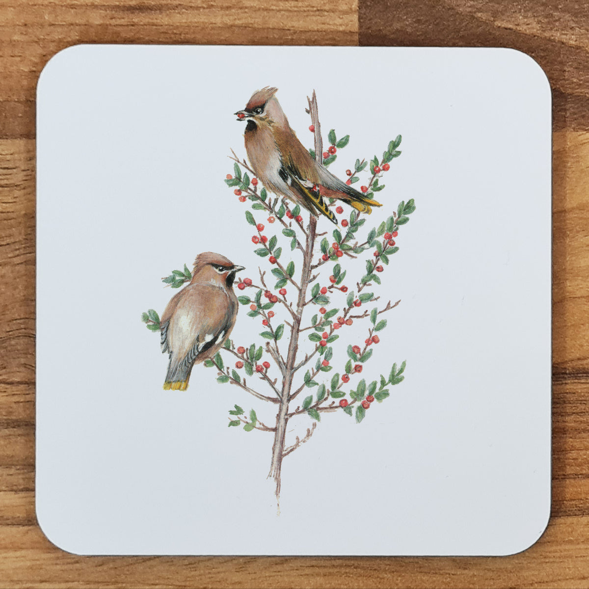 Wax Wings Melamine Coaster – Countryman John